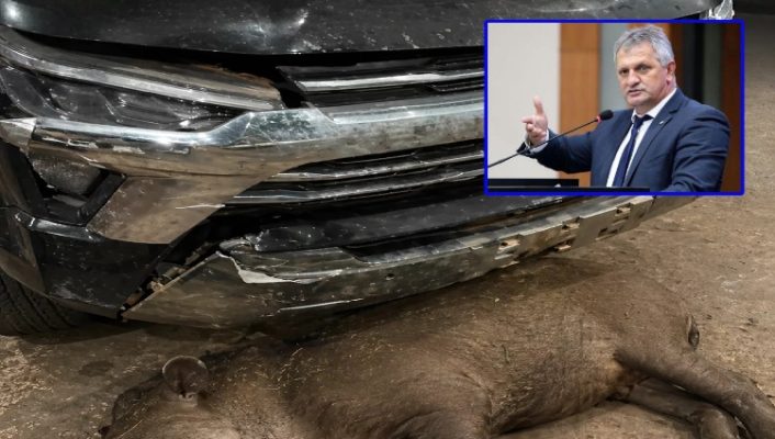 Deputado Dilmar Dal Bosco sofre acidente na MT-249 após carro colidir ...